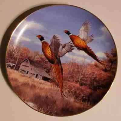 David Maass Pheasant Plate Collection Danbury Mint D7376 Autumn s ...
