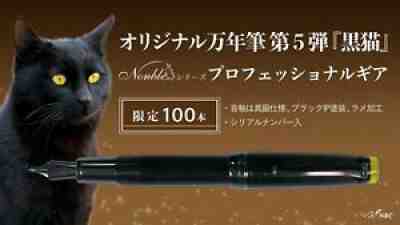 Collectible Fountain Pens : Sailor Limited Professional Fountain Pen ...