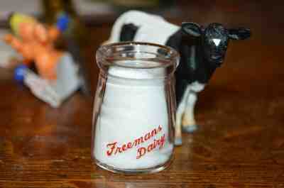 CREAMER MILK BOTTLE FREEMAN'S DAIRY ALLENTOWN PA