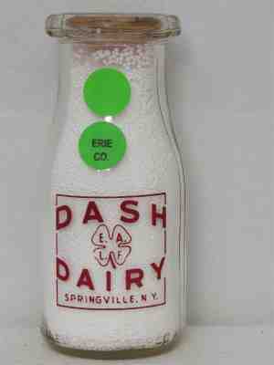 TRPHP Milk Bottle Dash Dairy Farm Springville NY ERIE COUNTY FULL COW ...