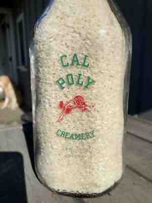 cal poly Milk Bottle