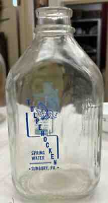 Vintage Indian Tulpehocken Spring Water Bottle 1/2 gallon Sunbury Pa ...