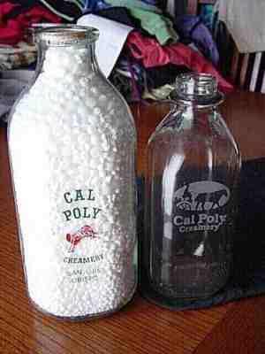 cal poly Milk Bottle