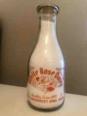 TRPQ 1940s orange painted label White Rose Dairy milk bottle from ...