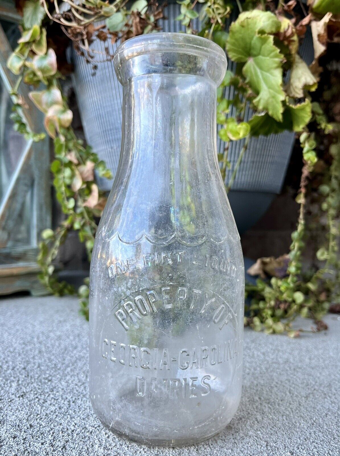 Milk Bottle Collectibles : Augusta Dairies Value Guide - Free Price ...