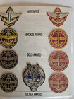 Rare And Collectible Scout Patches : Explorer Gold Award Scout Patch ...