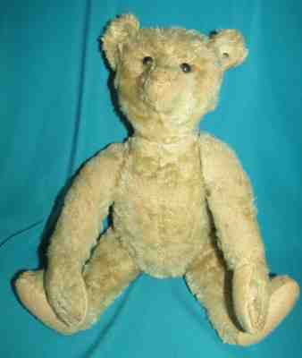 Rare And Collectible Steiff Items : Steiff Bear Steiff Creme Value ...