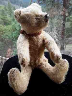 Vintage Antique And Collectible Teddy Bears : Bedtime Value Guide ...
