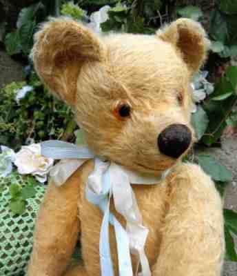 Vintage Antique And Collectible Teddy Bears : Pedigree Value Guide ...