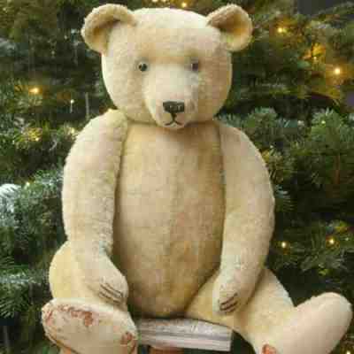 Vintage Antique And Collectible Teddy Bears : Giant Teddy Bear Value ...